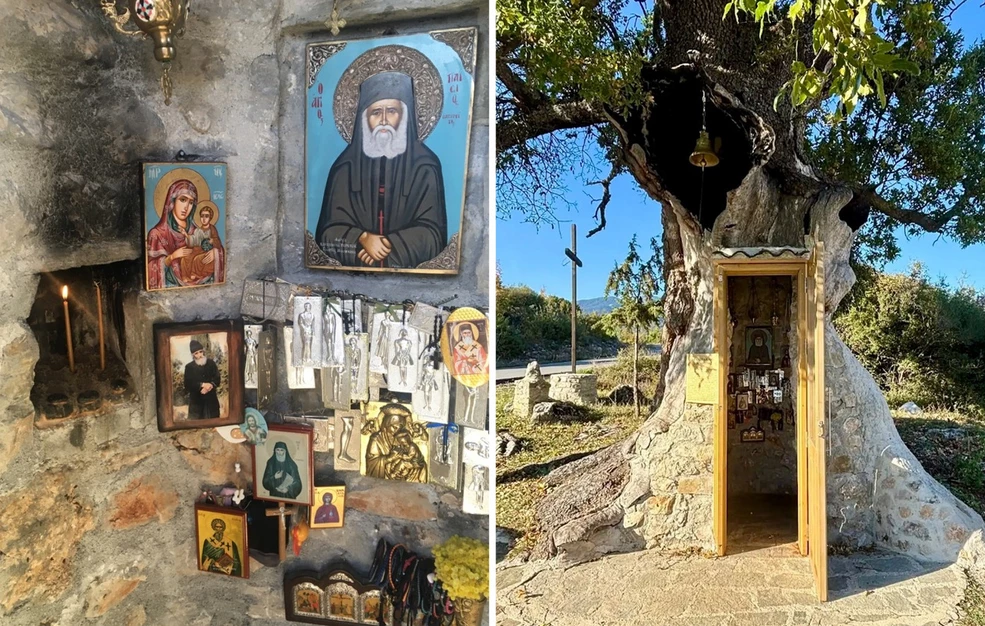Η δεντροκκλησιά του Αγίου Παϊσίου - Ιερά Μονοπάτια